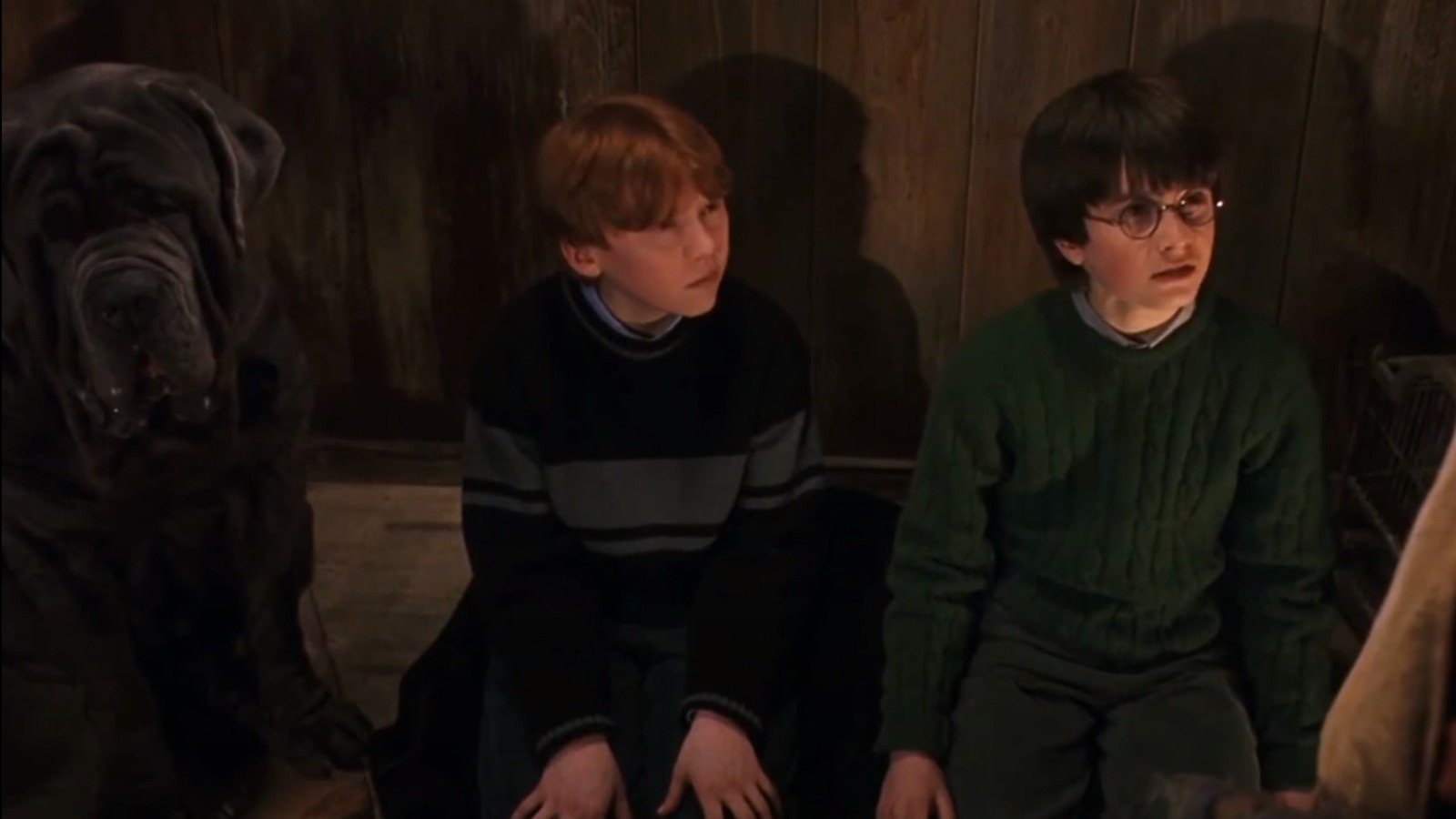 The Harry Potter And The Sorcerer's Stone Plot Hole That Still Bothers Fans
