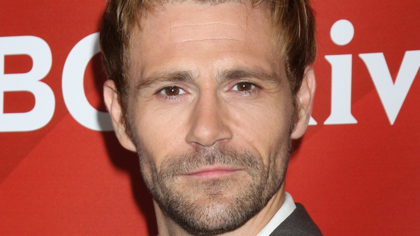 The Iconic DC Character You Likely Didn't Know Was Played By Criminal ...