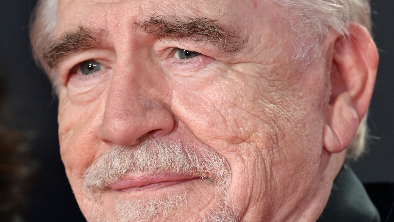 The Iconic Harry Potter Role That Almost Went To Succession's Brian Cox