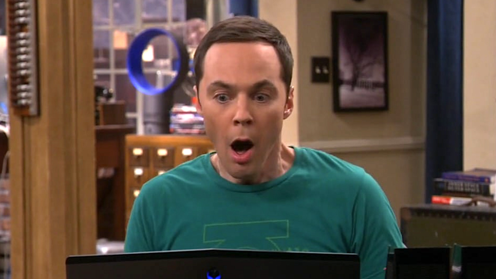 The Most Eye-Opening Things We Learned In The Big Bang Theory Book