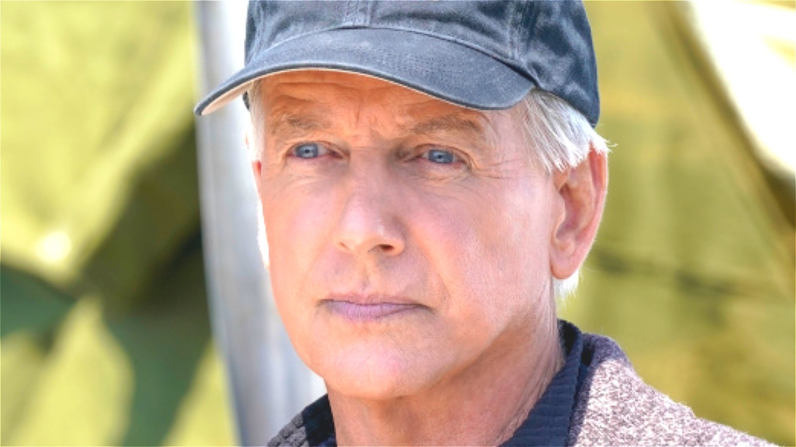 Ncis Wallpaper Gibbs