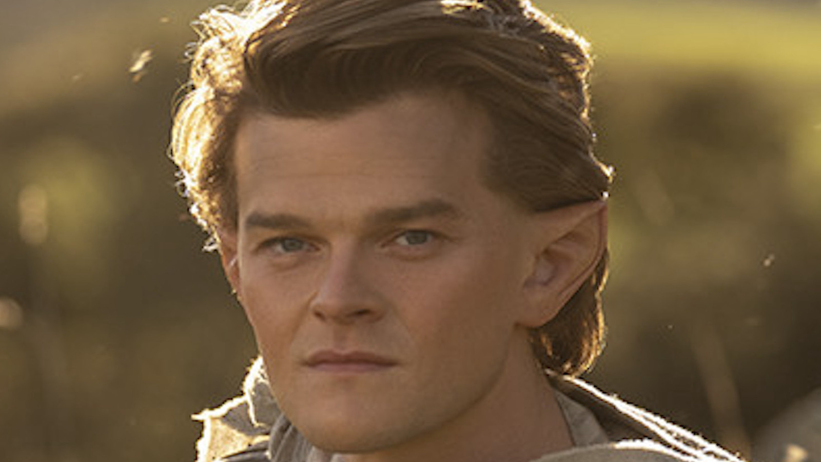 Elrond Lord Of The Rings Hair