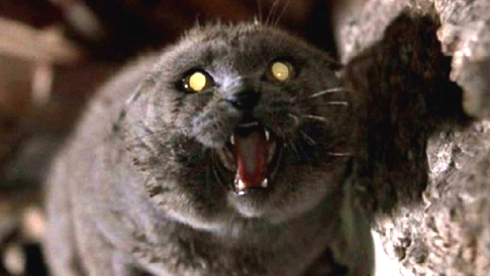 The Pet Sematary Prequel Just Landed A Legendary Actress