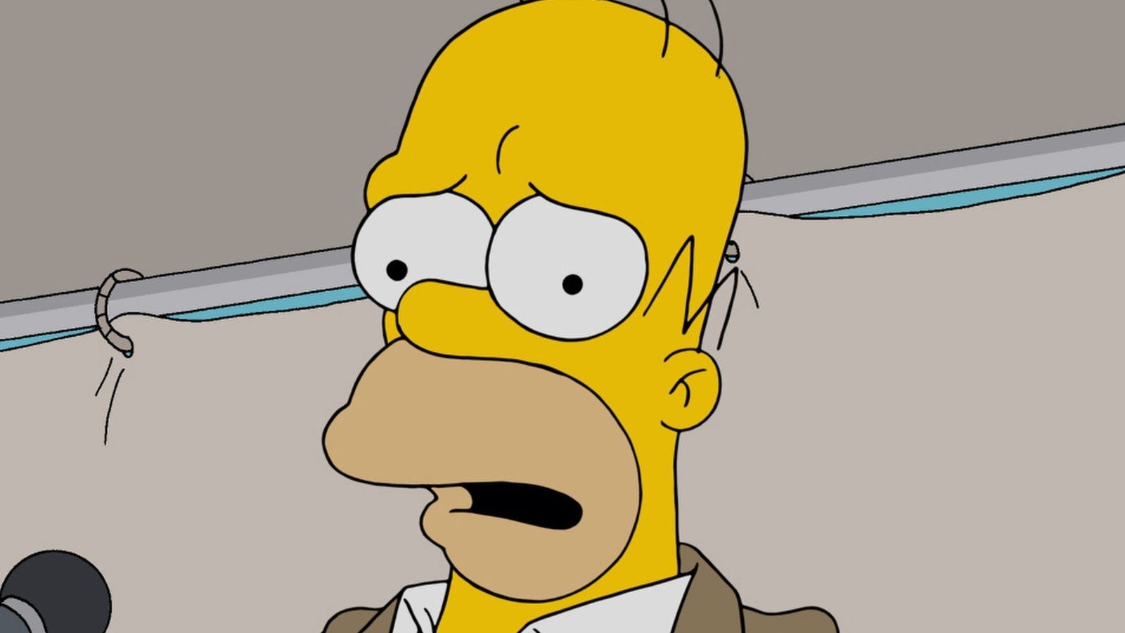 Real Life Simpsons Family