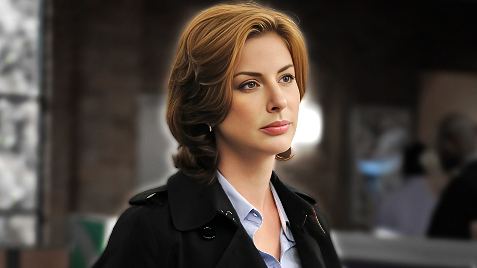 The Real-Life Legal Issues Of NCIS Star Diane Neal, Explained