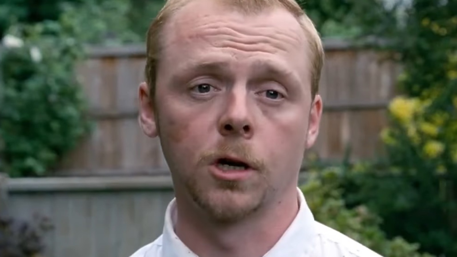 The Real Reason Why We Never Got Shaun Of The Dead 2