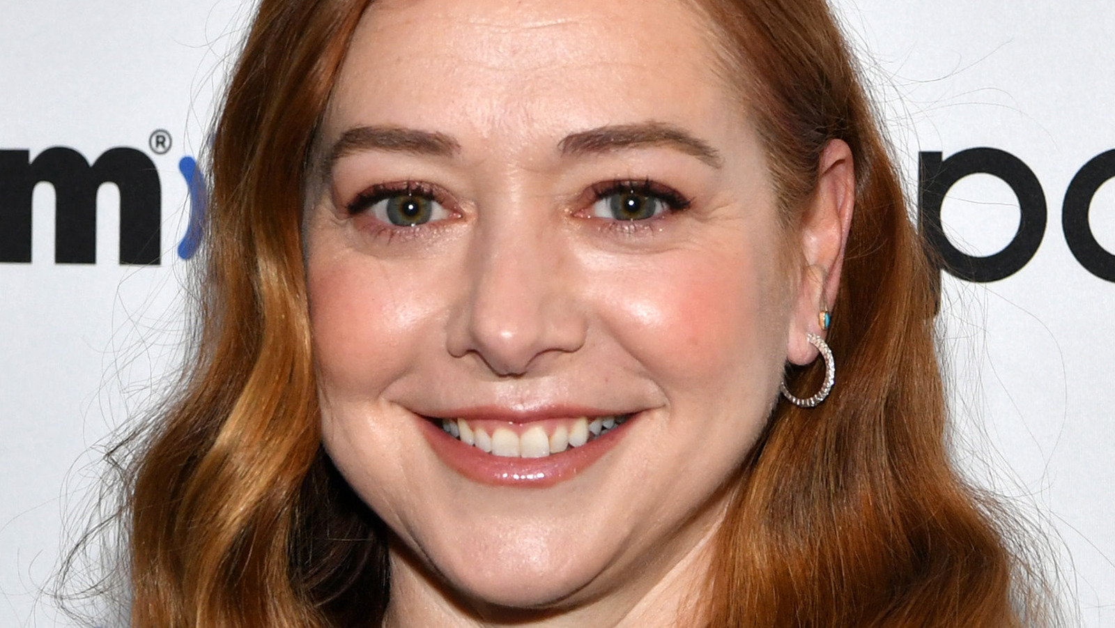 The Role You Likely Forgot Alyson Hannigan Played On Veronica Mars