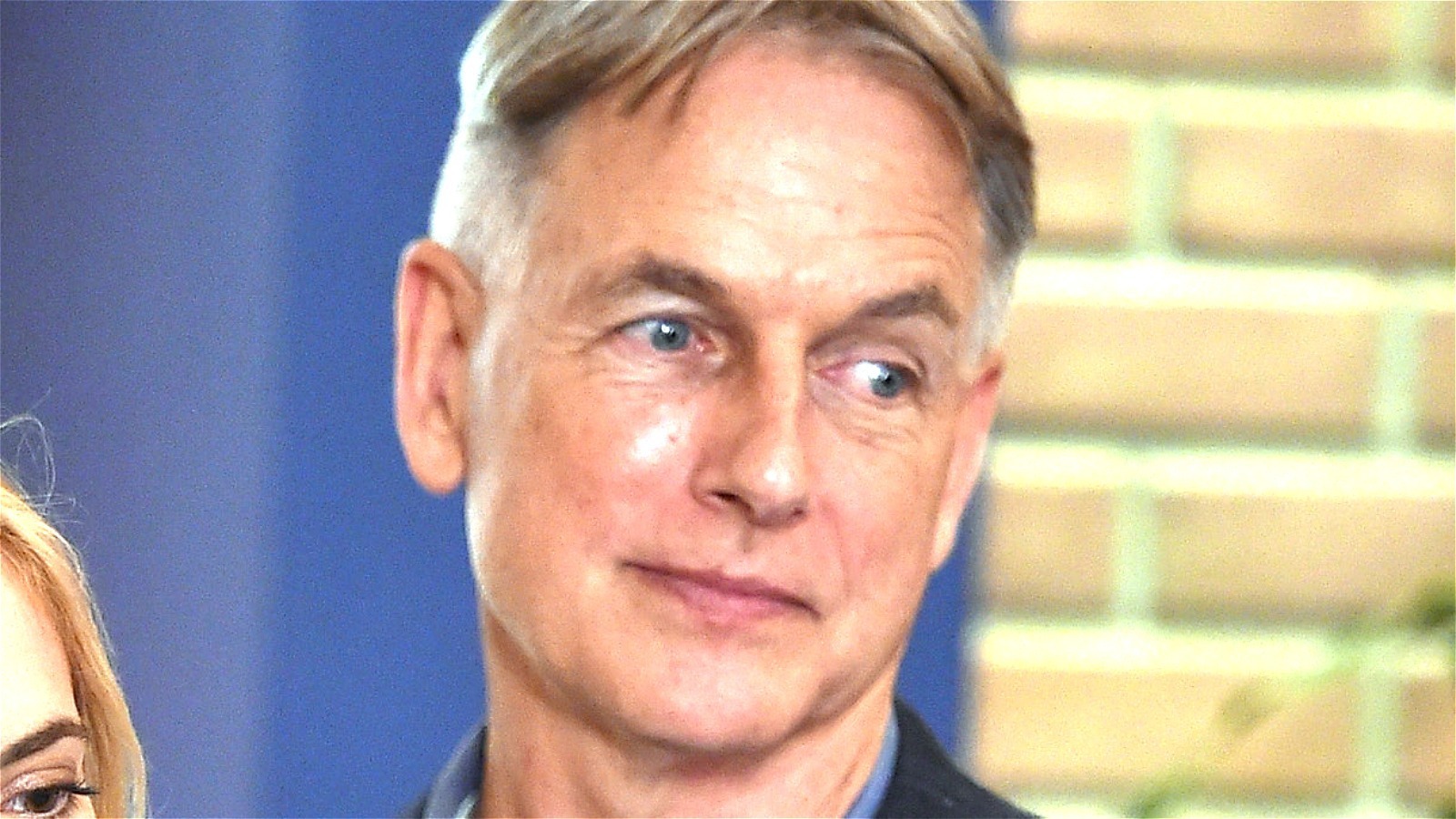 The Romantic Relationship NCIS Fans Wish Would've Worked Out For Gibbs