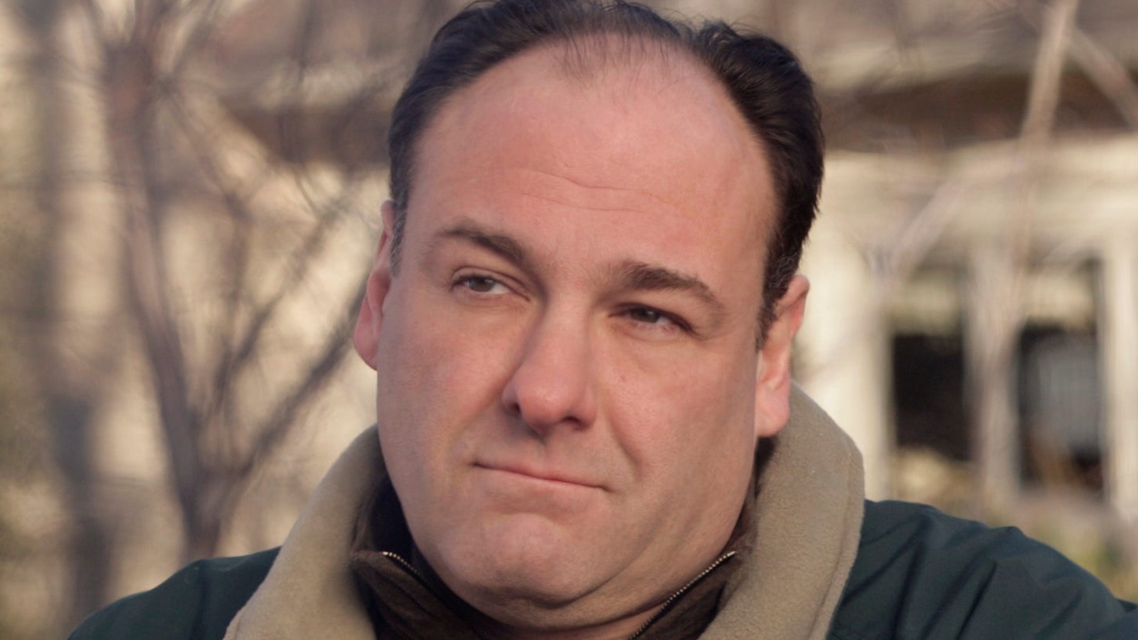 The Sopranos Characters Ranked By Despicability