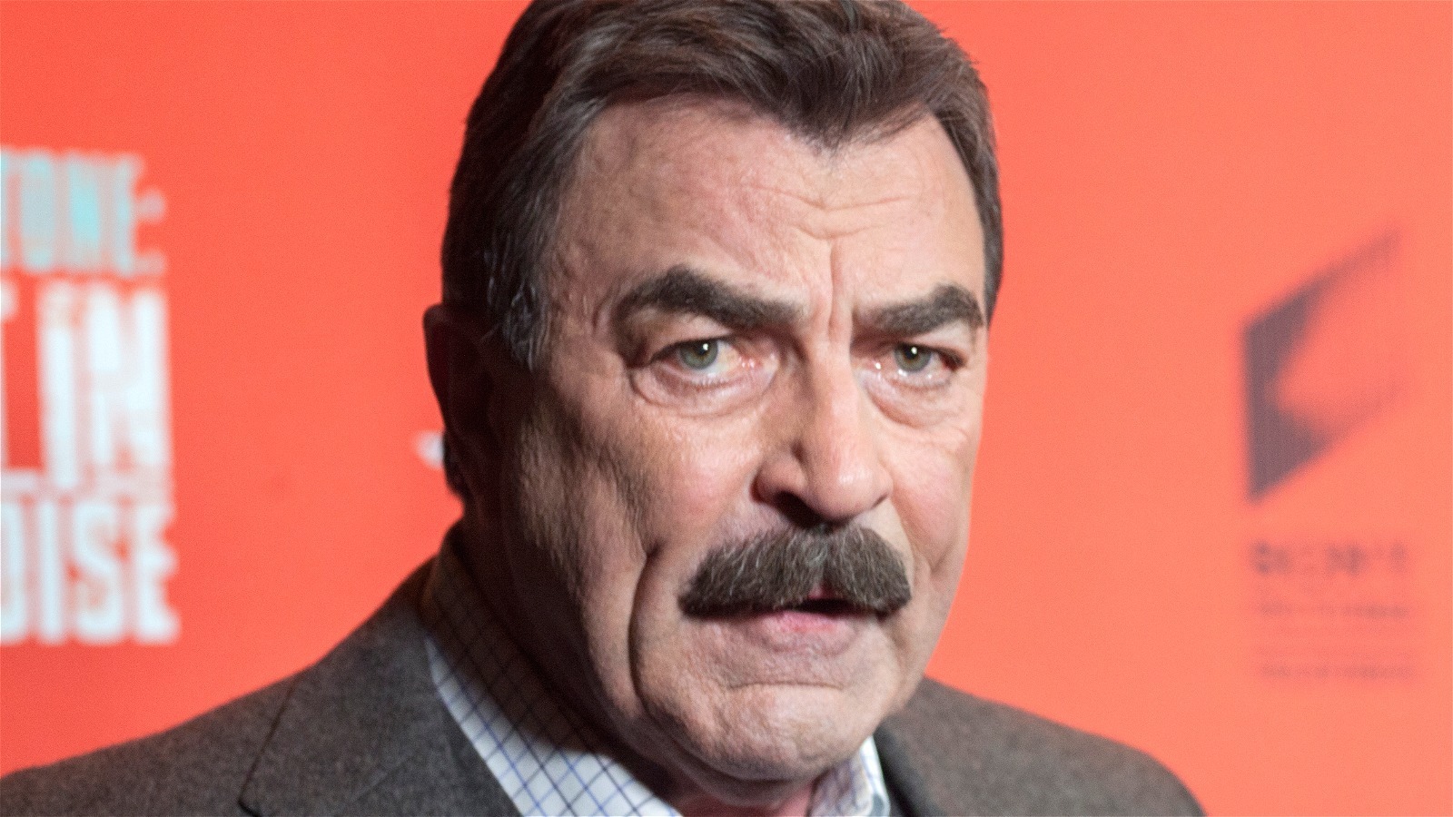 The Steven Spielberg Classic Tom Selleck Regrets Turning Down The Steven Spielberg Classic Tom Selleck Regrets Turning Down