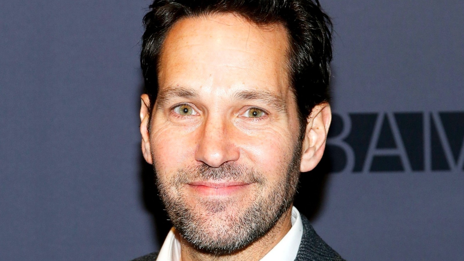 The Terrible Advice Paul Rudd Gave Steve Carell About The Office