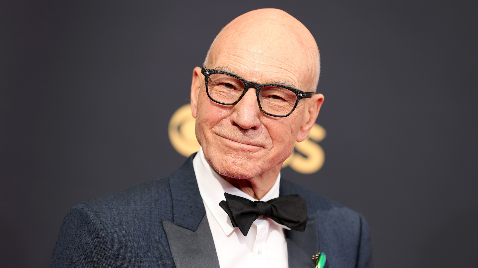 The Tragic True Life Story Of Patrick Stewart