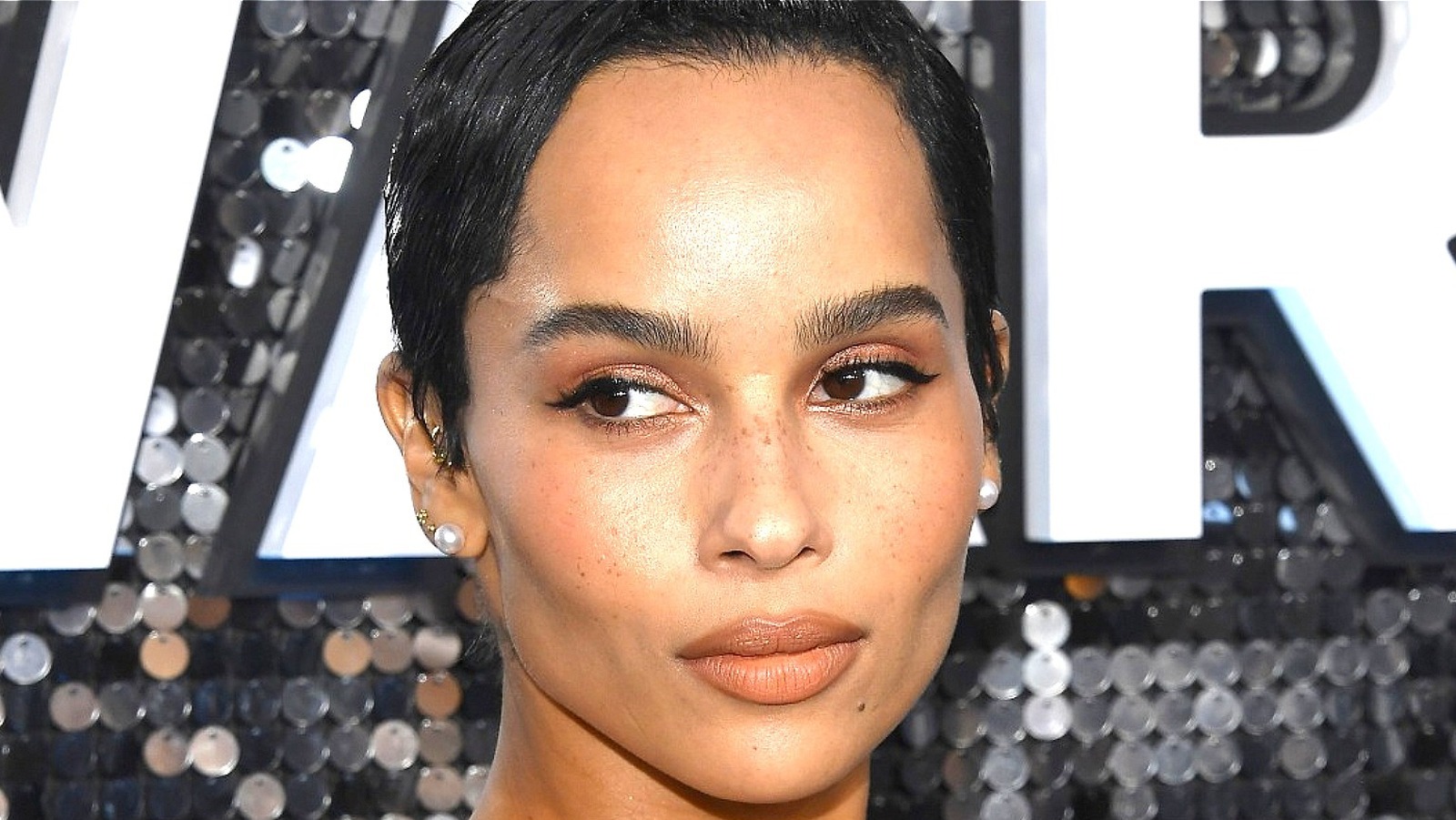 The Transformation Of Zoe Kravitz From Childhood To The Batman