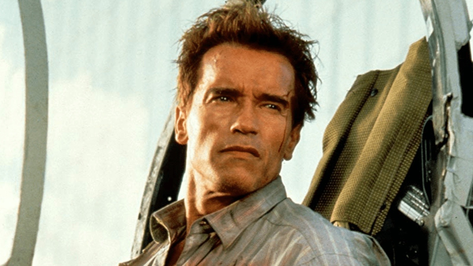 The True Lies TV Series That Almost Happened