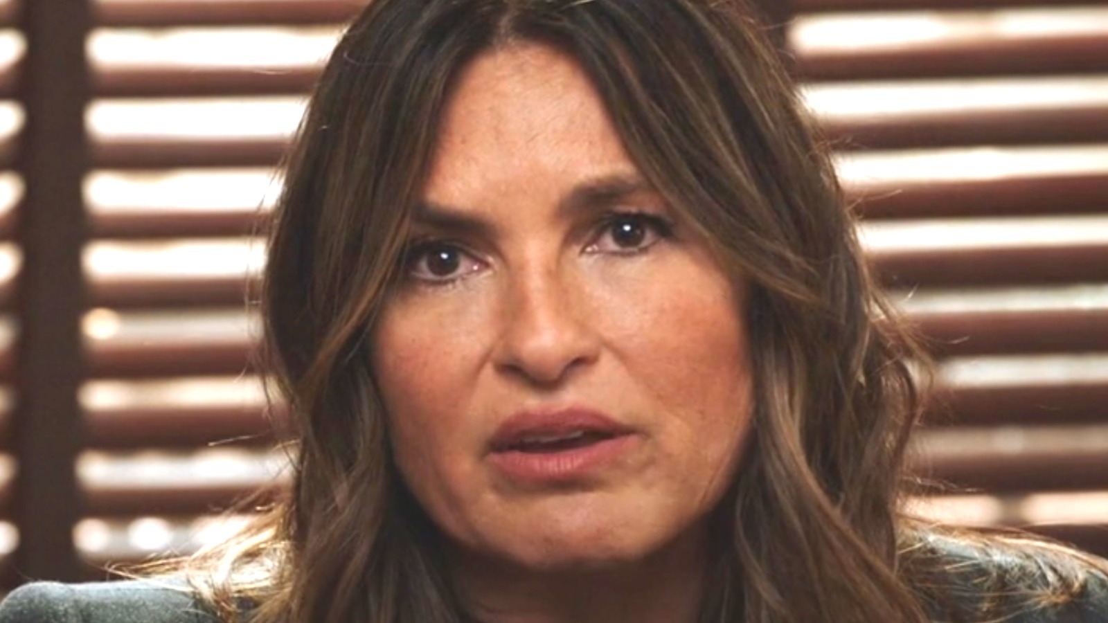 The Unpopular Opinion Some Law & Order: SVU Fans Have About Bensler