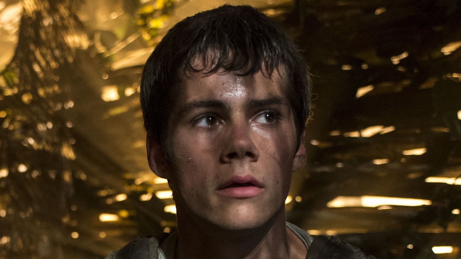The Untold Truth Of The Maze Runner