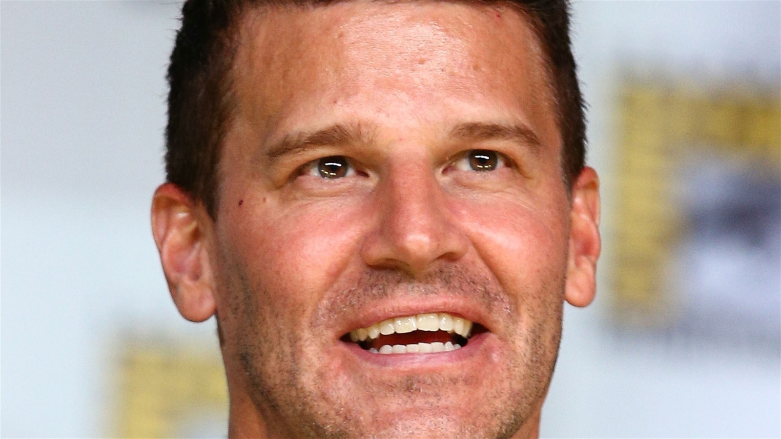 This Was The Best Season Finale On Bones