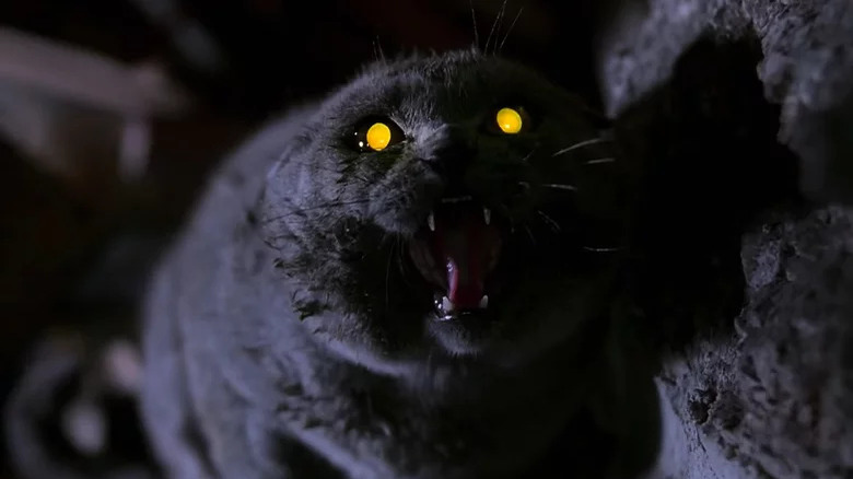 55 Best Horror Movies Streaming [August 2022]