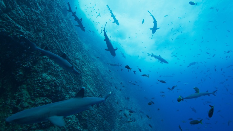 TV Shows That Will Blow Everyone Away In 2024