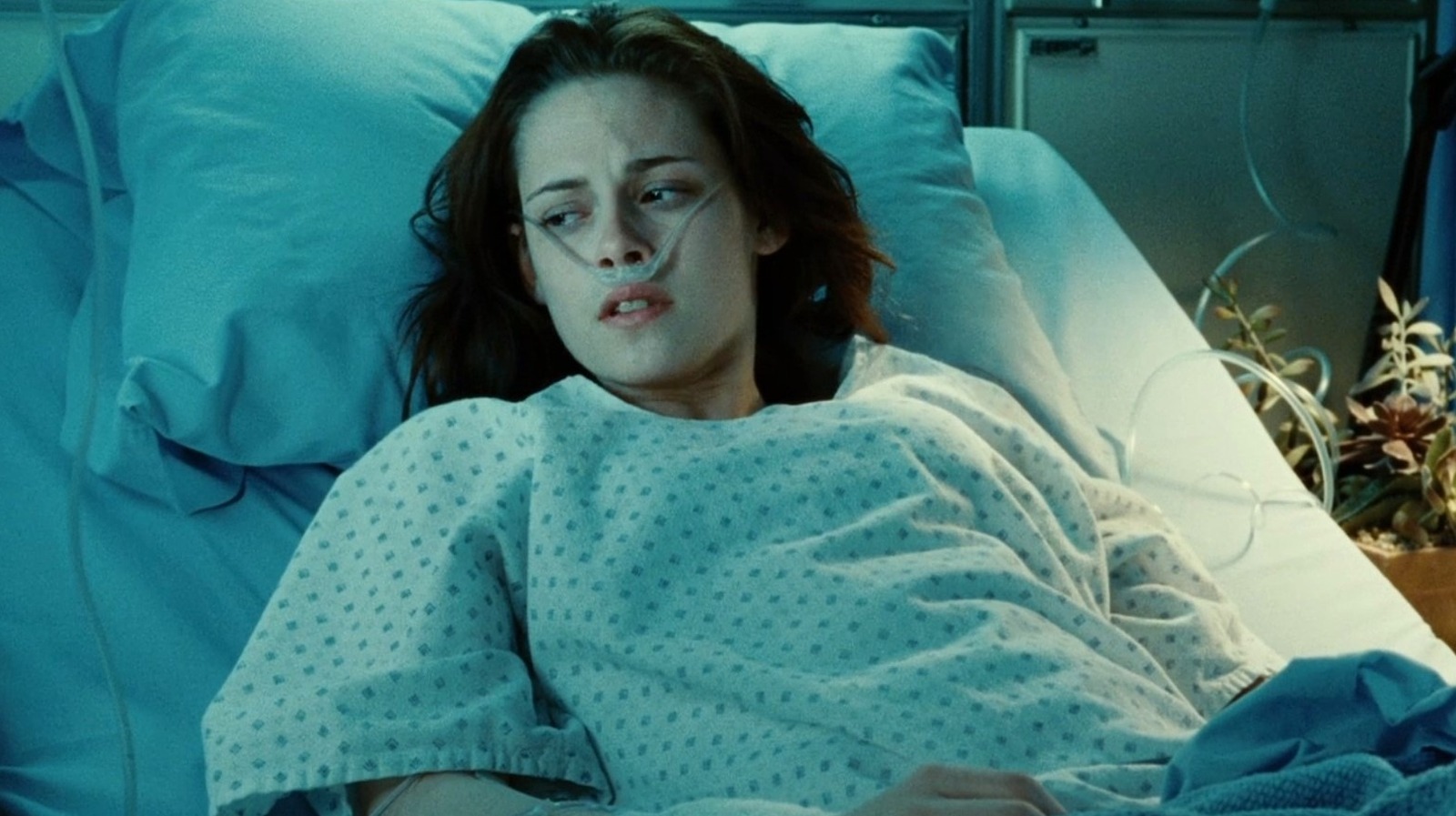 Twilight The Major Bella Swan Mistake You Wont Be Able To Unsee
