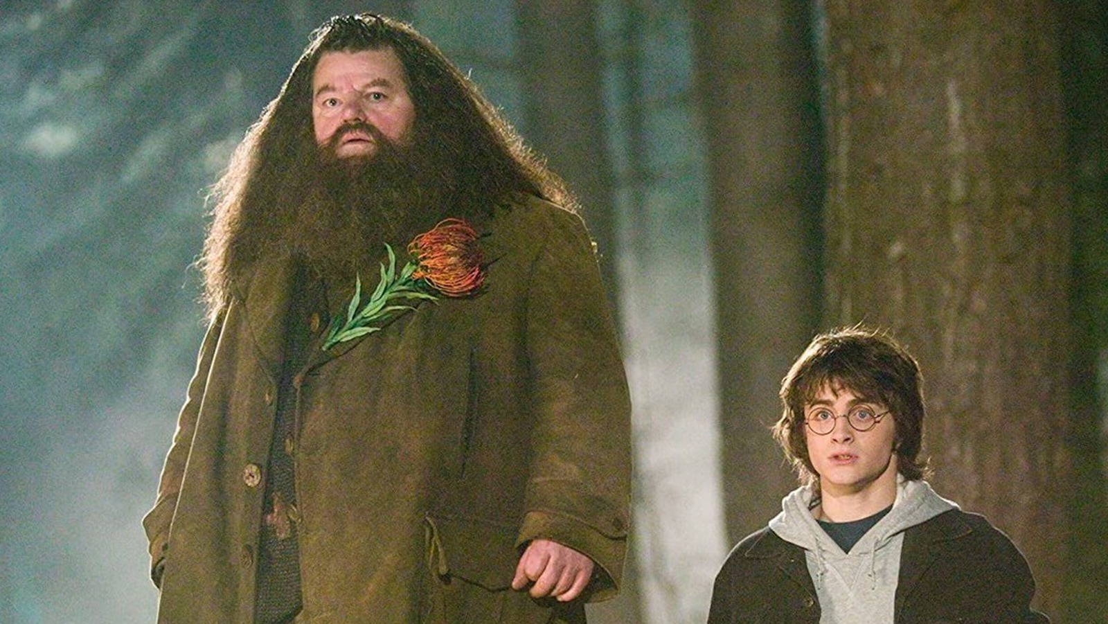 Was Harry Potter's Hagrid A Death Eater? A Bonkers Reddit Theory Explained
