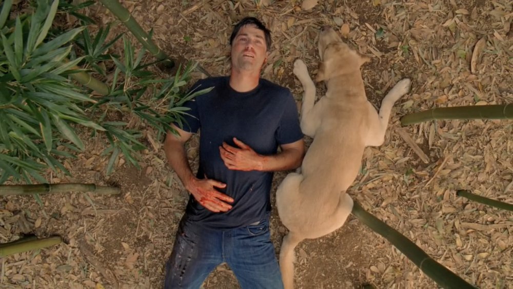 We Finally Understand The Ending Of Lost