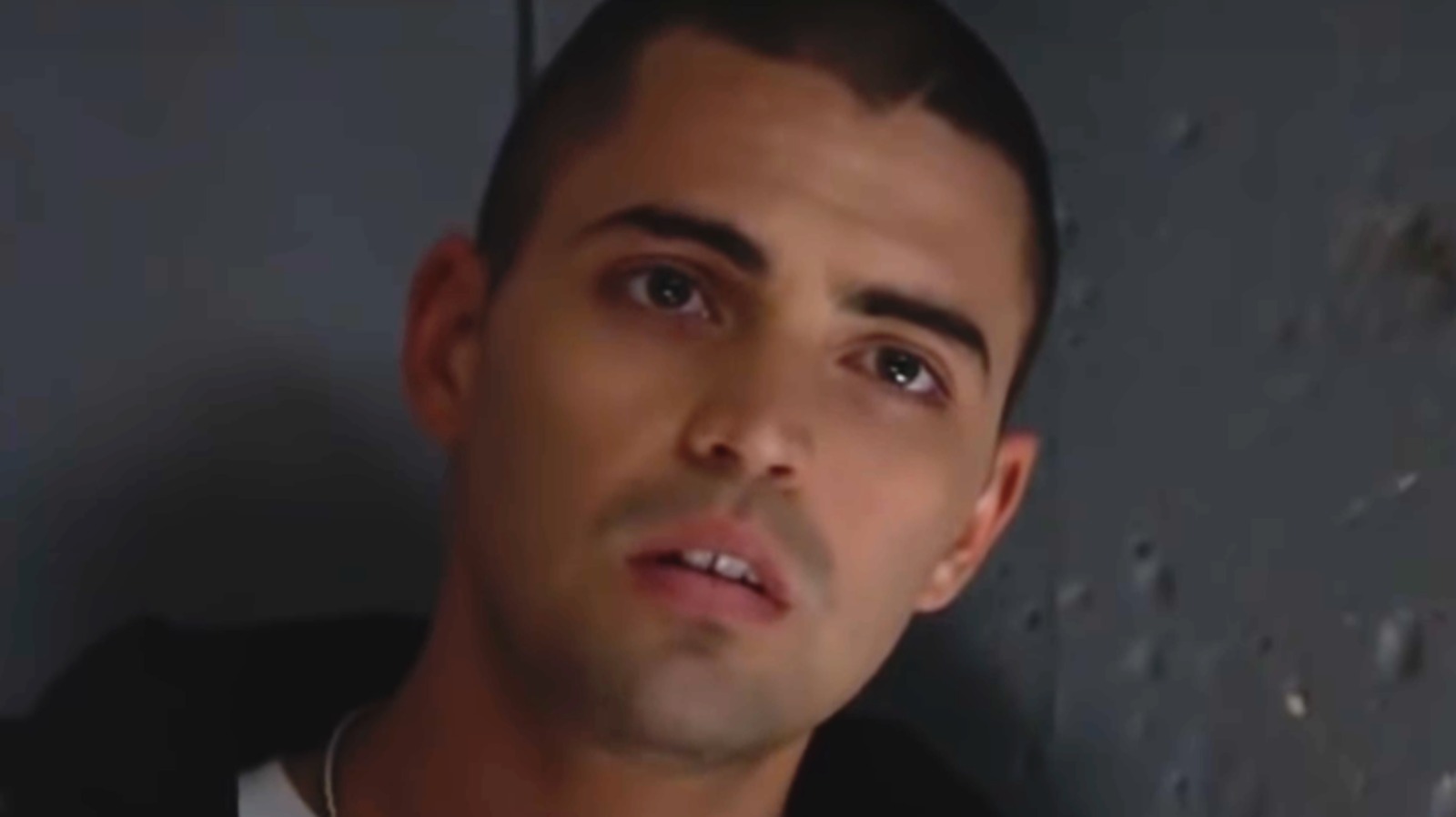 We've Actually Seen Officer Torres On Chicago P.D. Before