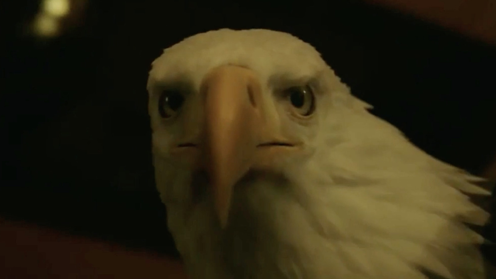 What Are The Songs In Peacemaker Episode 4?