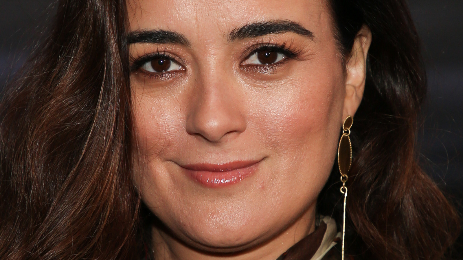 What Cote De Pablo Really Struggled With When She Returned To NCIS