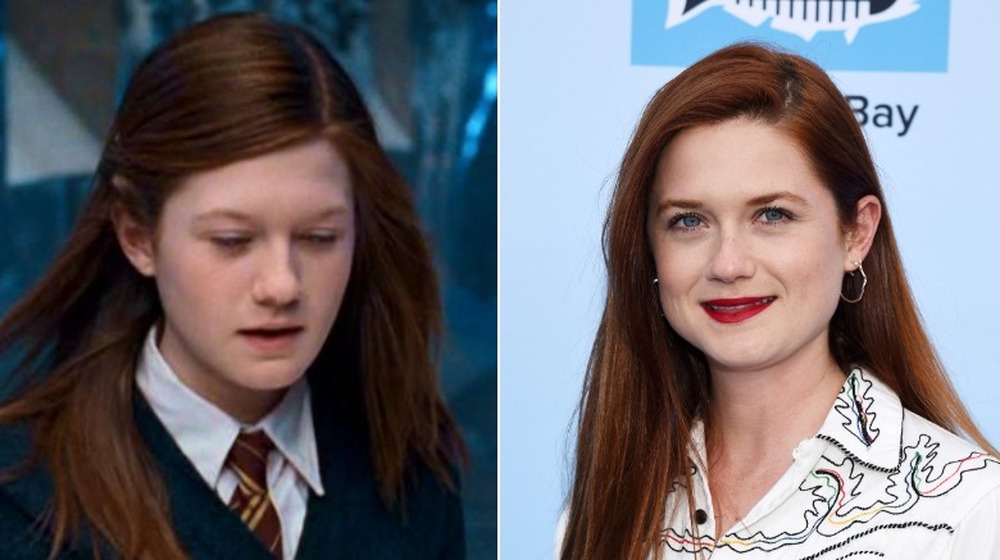 What Happened To The Cast Of Harry Potter?