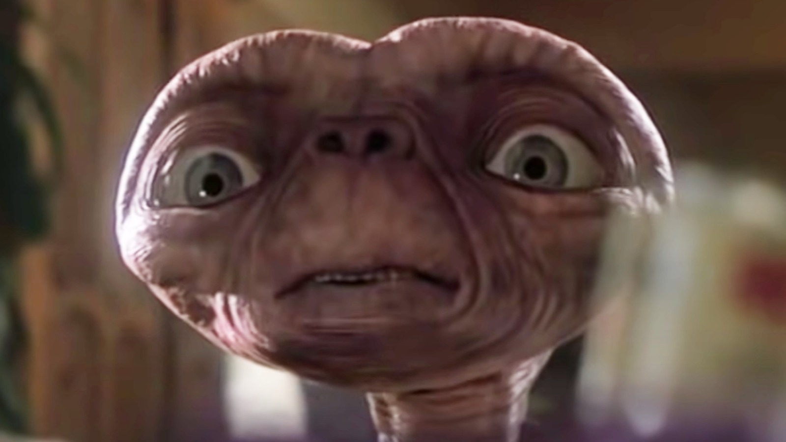 What Happened To The Studio That Passed On Making E.T.?