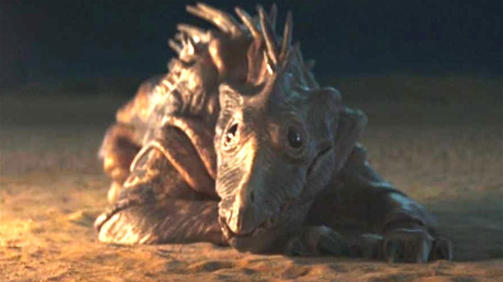 What Is The Dog-Like Alien In The Book Of Boba Fett Episode 1