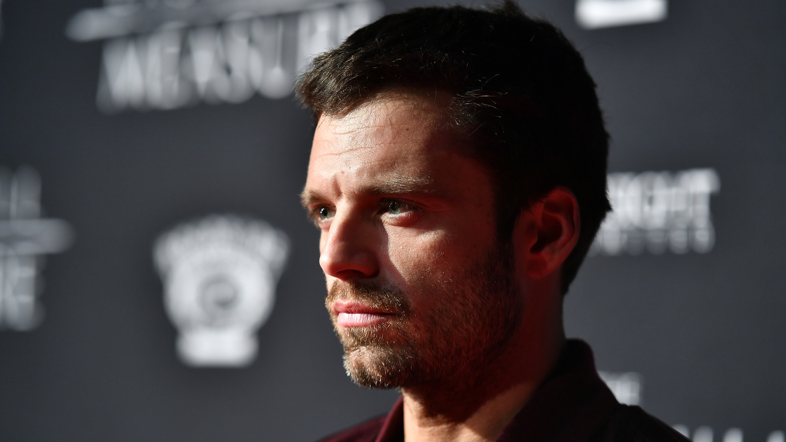 What Sebastian Stan Would Look Like As Post-Original Trilogy Luke Skywalker