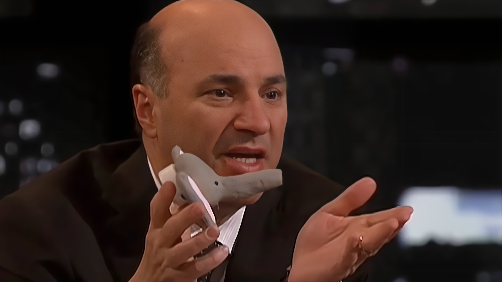 Whatever Happened To Ava The Elephant After Shark Tank?