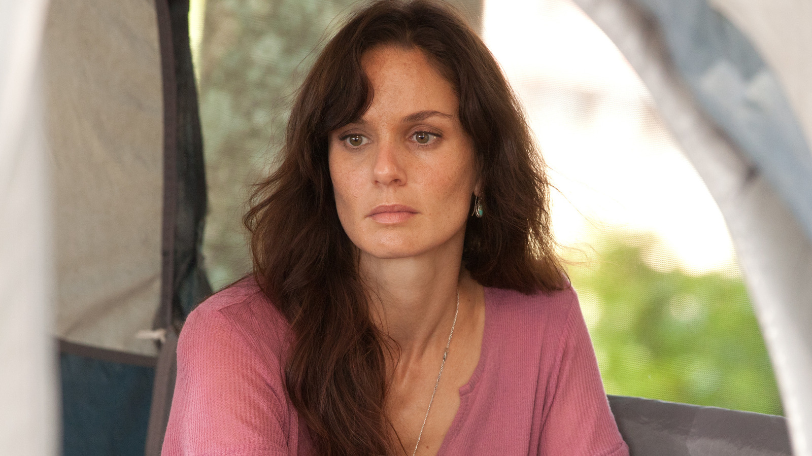 Sarah Wayne Callies Family