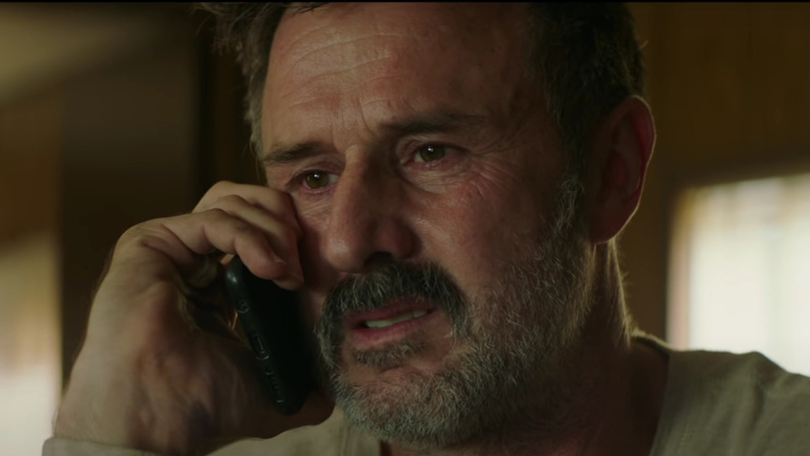 When Will Scream Be Available To Watch At Home?