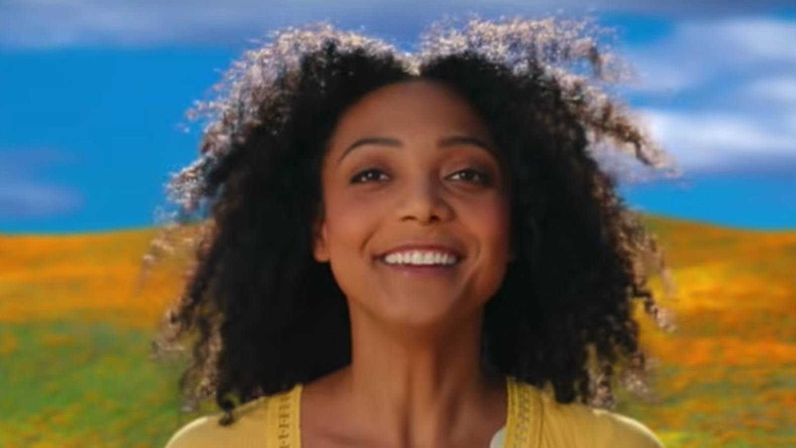 Who Is The Actress In The Visit California 'What If' Commercial?