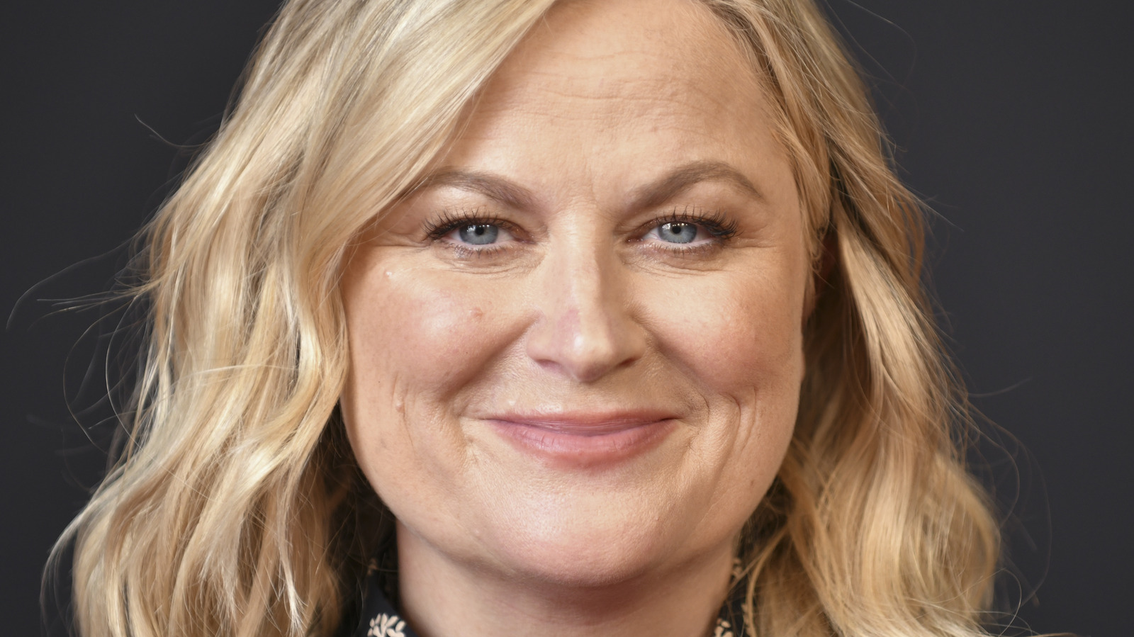 Who's To Thank For Parks And Recreation's Iconic Theme Song?