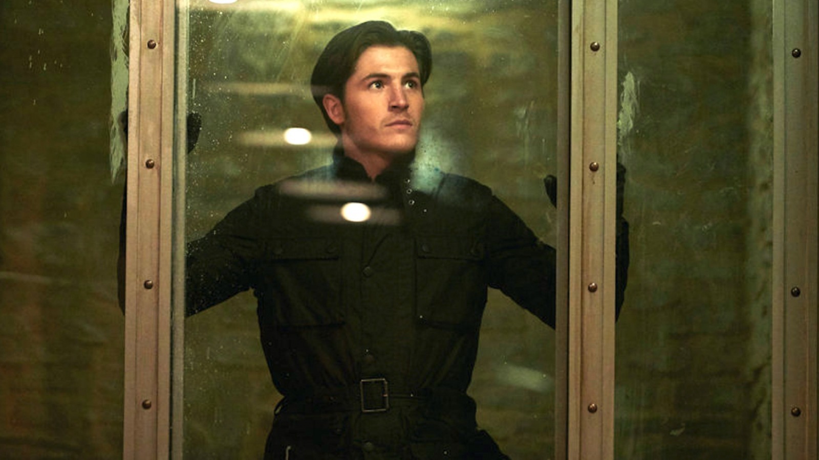 Why Dimitri From The Vampire Academy Series Looks So Familiar