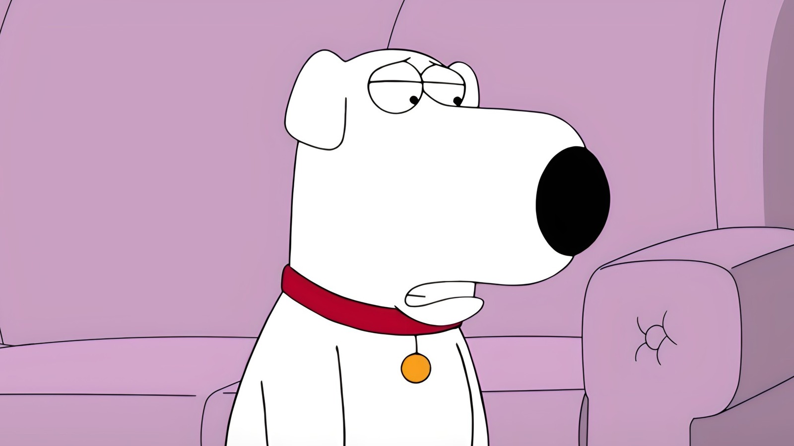 Family Guy Brian Family Guy Brian