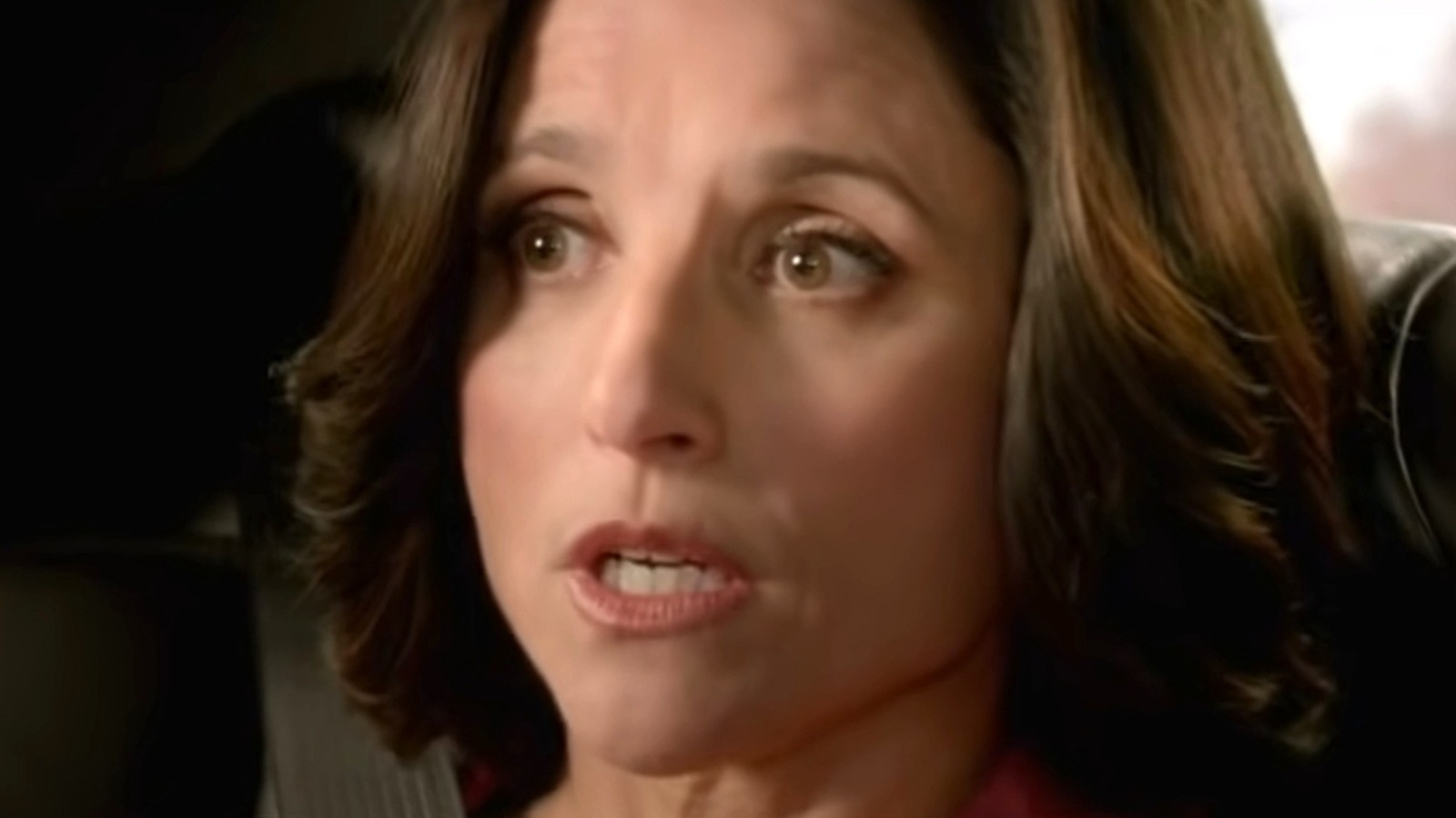 Why Julia Louis-Dreyfus Doesn't Think Resurrecting Veep To Joke About January 6 Would Work