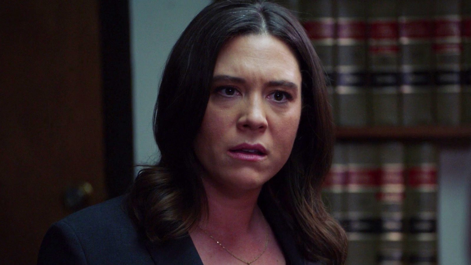 Why Nina Chapman From Chicago PD Looks So Familiar