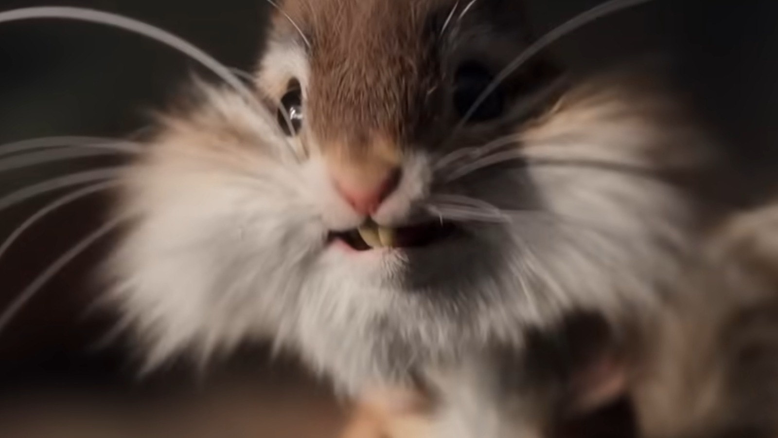 Why Pip's New Voice Actor From Disney's Disenchanted Sounds So Familiar